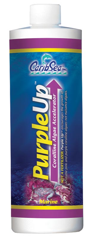 Carib Sea - Aqua Blue Distribution