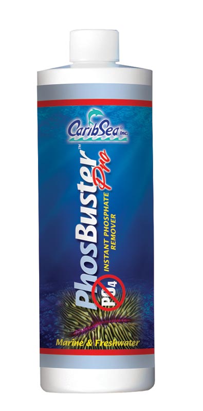 Carib Sea - Aqua Blue Distribution