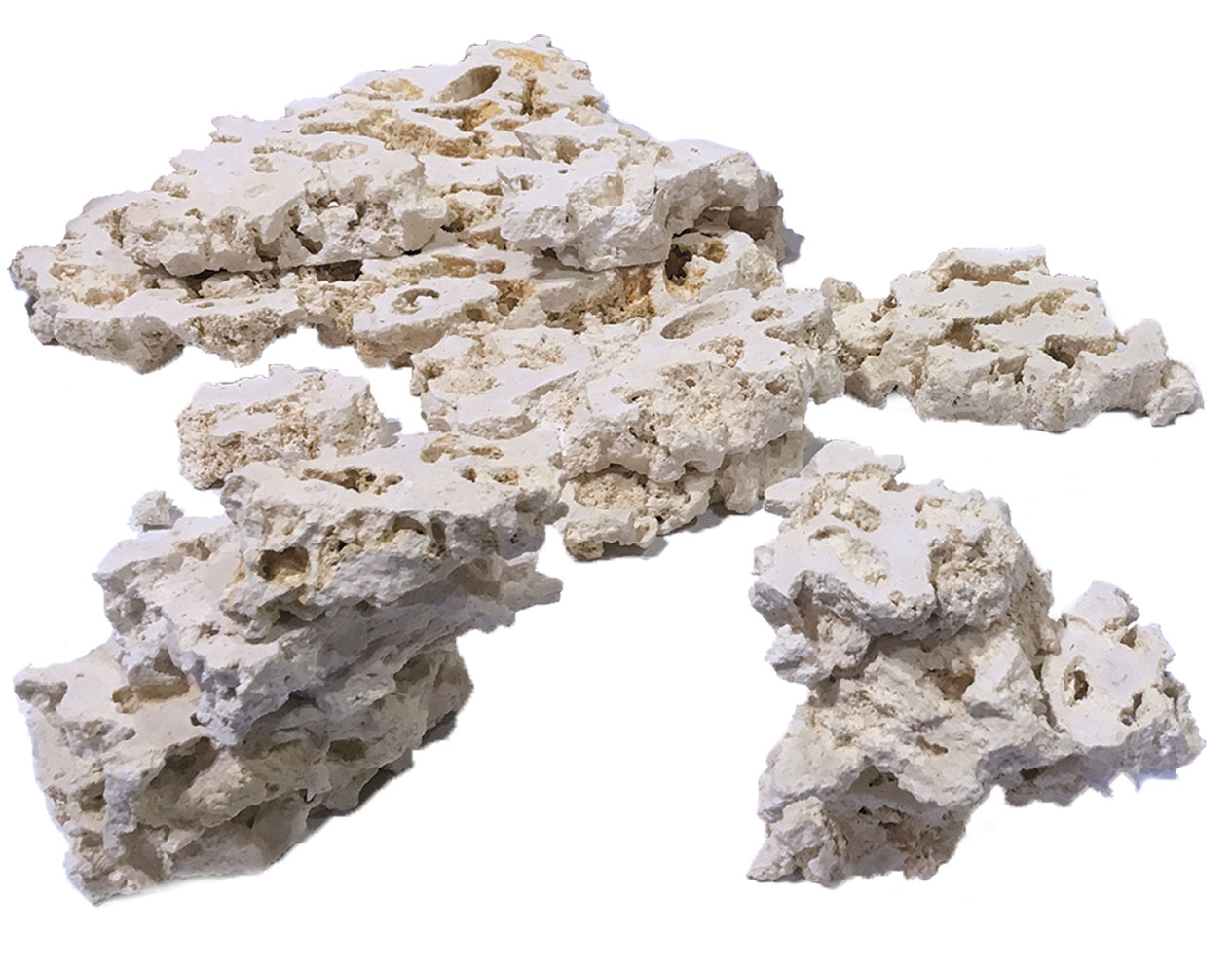 Fish >> Rocks - Aqua Blue Distribution