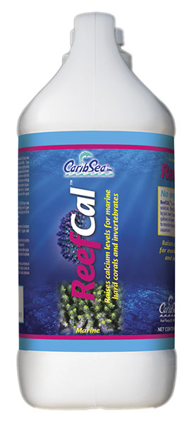 Carib Sea - Aqua Blue Distribution