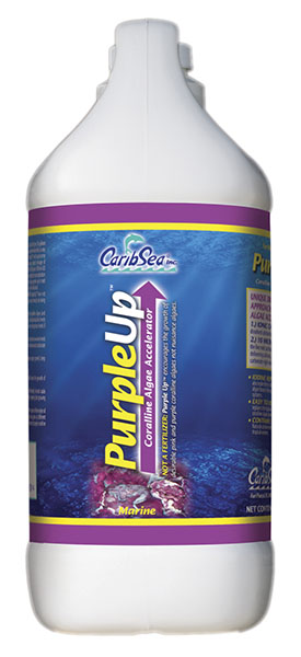 Carib Sea - Aqua Blue Distribution