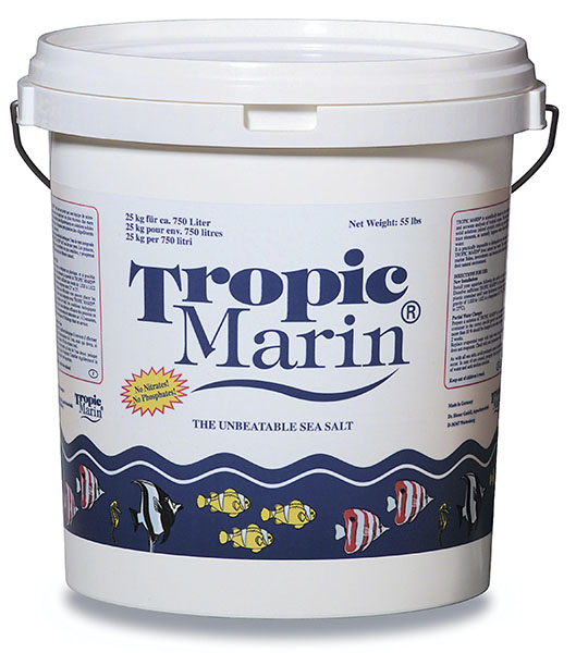 Fish >> Salt - Aqua Blue Distribution